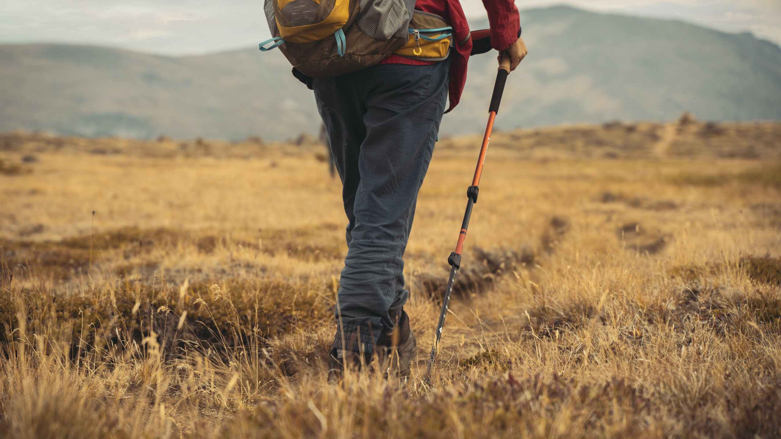 Why You Should Use Walking Poles - Trekitt Blog
