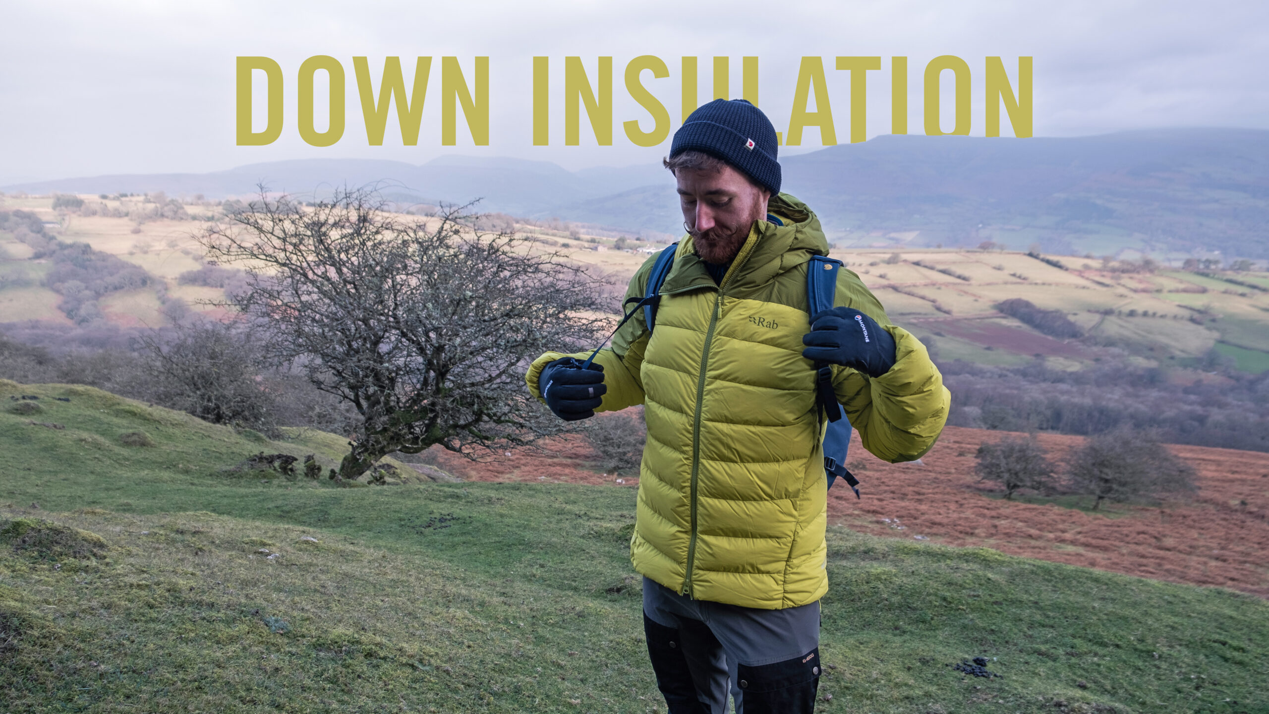 Down vs Synthetic: What's the difference? - Trekitt Blog