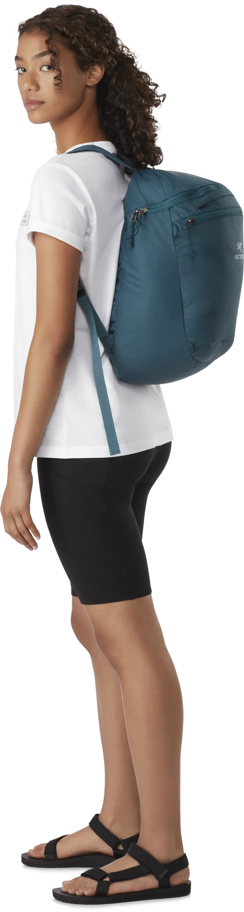 Arcteryx Index 15 Backpack Ladon